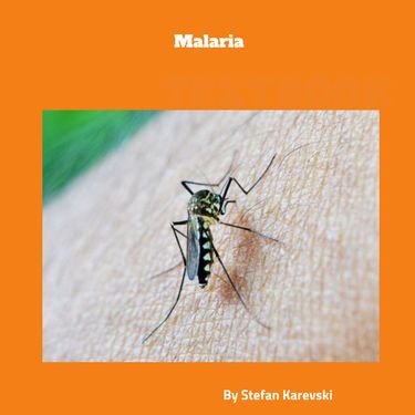 Book Creator | Malaria