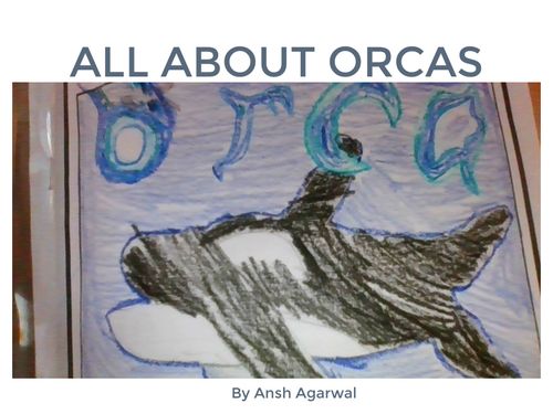 Book Creator | All About Orcas