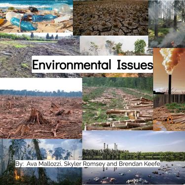 Book Creator | Environment