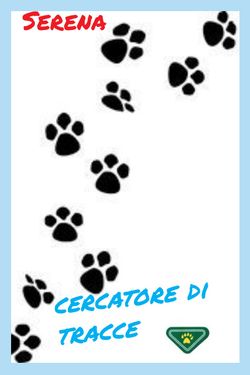 Book Creator | CERCATORE DI TRACCE