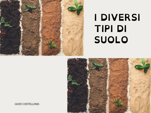 Book Creator | (copy) I diversi tipi di suolo