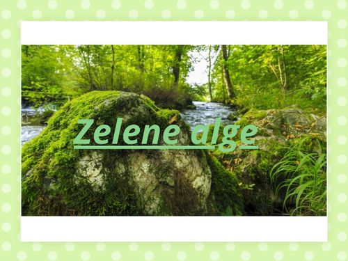 Book Creator | ZELENE ALGE