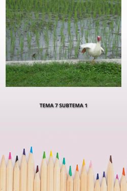 Book Creator | TEMA 7