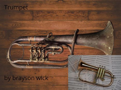 Book Creator | Brayson Band Book