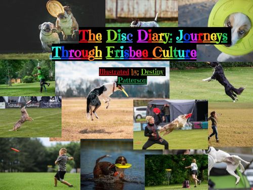 Book Creator | The Disc Diary