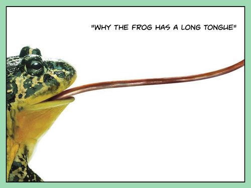 Book Creator | Why frogs have a long tongue