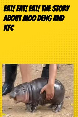 Book Creator | MOO DENG AND THE BIG ADVENTURE