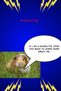 Book Creator | Guinea Pigs