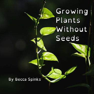 Book Creator | Growing Plants Without Seeds