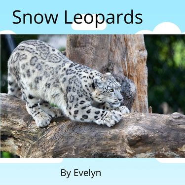 Book Creator | Snow Leopards