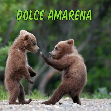 Book Creator | Dolce Amarena
