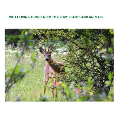 Book Creator | WHAT LIVING THINGS NEED TO GROW: PLANTS AND ANIMALS
