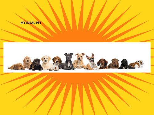 Book Creator | My Ideal Pet