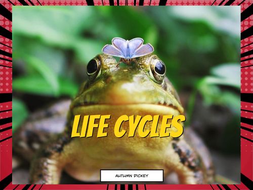 Book Creator | Life Cycles