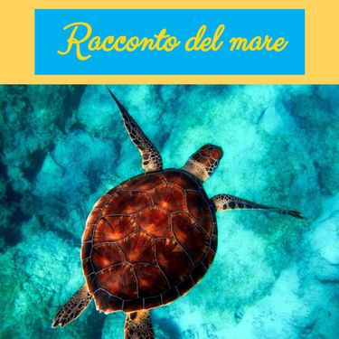 Book Creator | RACCONTO DEL MARE 5a
