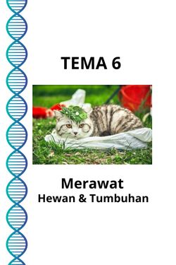 Book Creator | Tema 6 sub tema 1 Pb 1