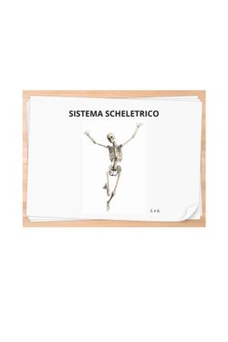 Book Creator | SCHELETRO-2