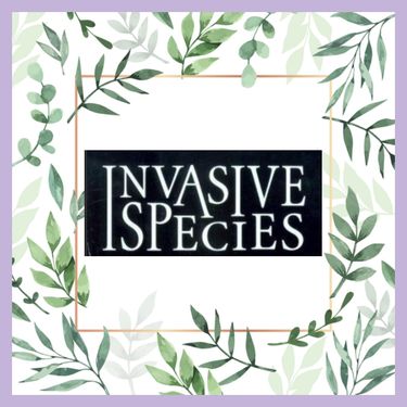 Book Creator | INVASIVE SPECIES