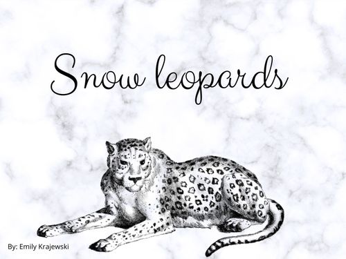 Book Creator | Snow Leopards