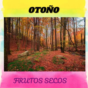 Book Creator | FRUTOS SECOS OTOÑO