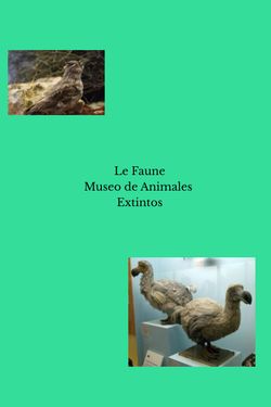 Book Creator | Le Faune