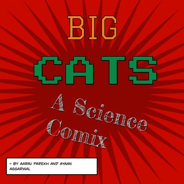 Book Creator | BIG CATS