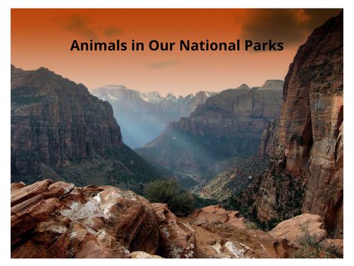 Book Creator | Animals in Our National Parks