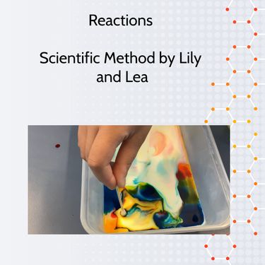 Book Creator | Scientific Method by Lily and Lea