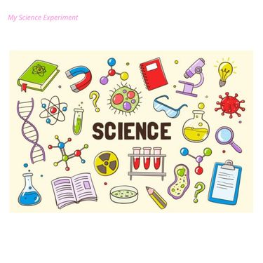 Book Creator | My First Science Experiment