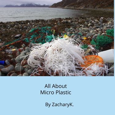 Book Creator | All About Microplastic