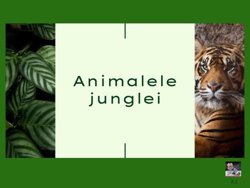 Book Creator | Animalele junglei