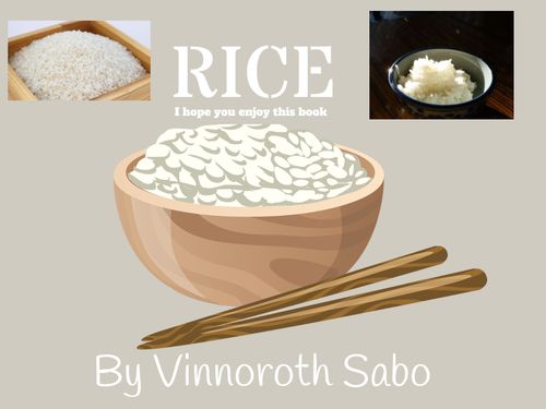 Book Creator | All About Book Rice