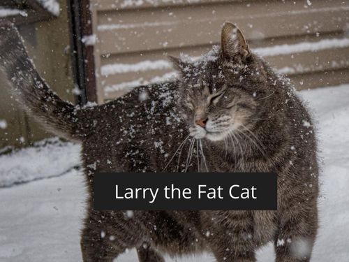 Book Creator | Fat Larry