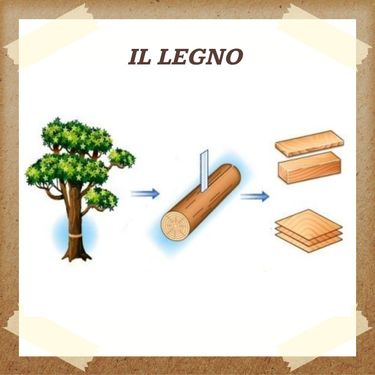 Book Creator | IL LEGNO