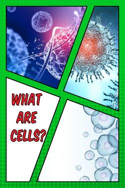 Book Creator | What are cells