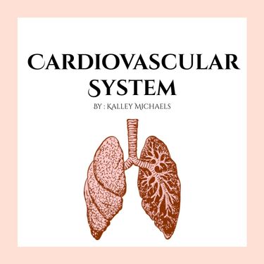 Book Creator | Cardiovascular System