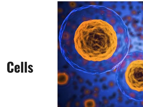 Book Creator | Cells