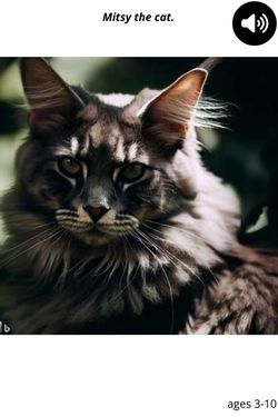 Book Creator | Mitsy the cat