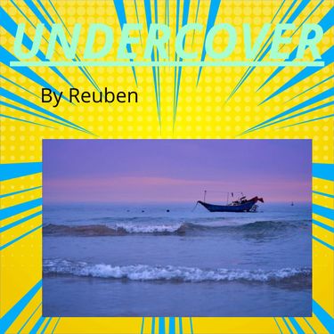 Book Creator | Undercover