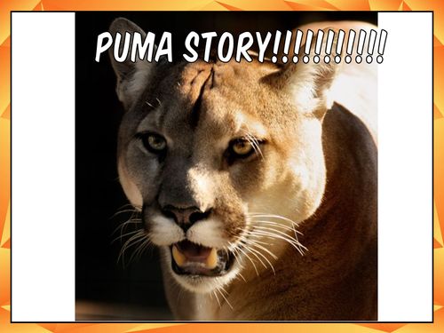Book Creator | Puma Story!!!!