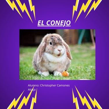 Book Creator | El conejo
