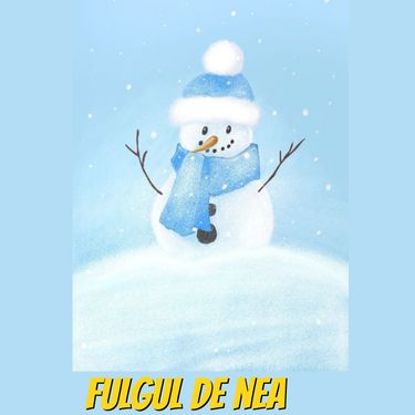 Book Creator | Fulgul de nea