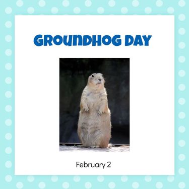 Book Creator | Groundhogs Day
