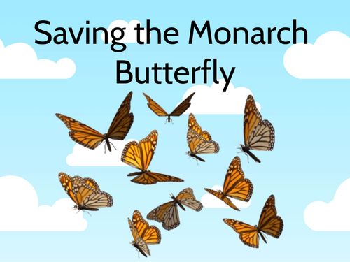 Book Creator | Saving the Monarch Butterfly (S5L2)