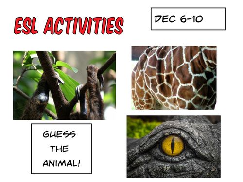 Book Creator | ESL activities week 4