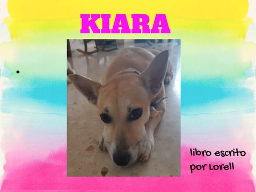Book Creator | KIARA