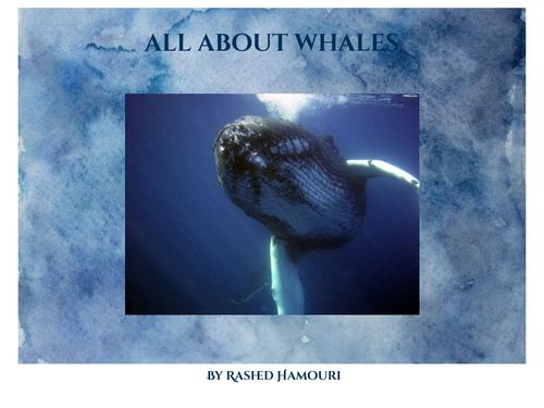 Book Creator | Whales