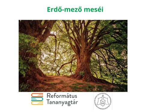 Book Creator | ERDŐ-MEZŐ MESÉI