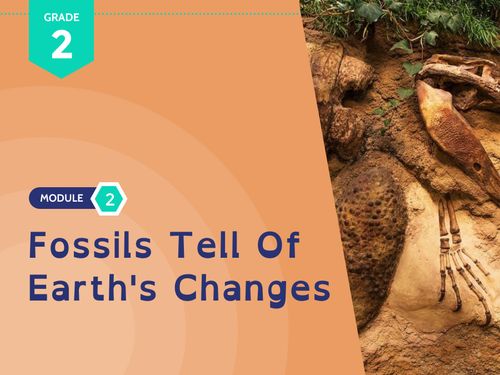 Book Creator | Grade 2: Module 1