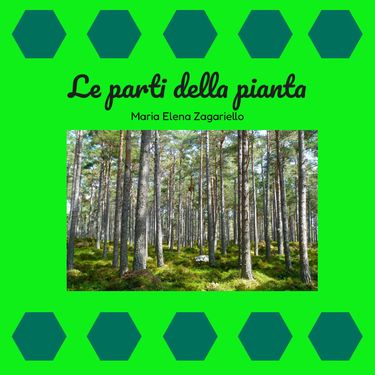 Book Creator | Le parti della pianta